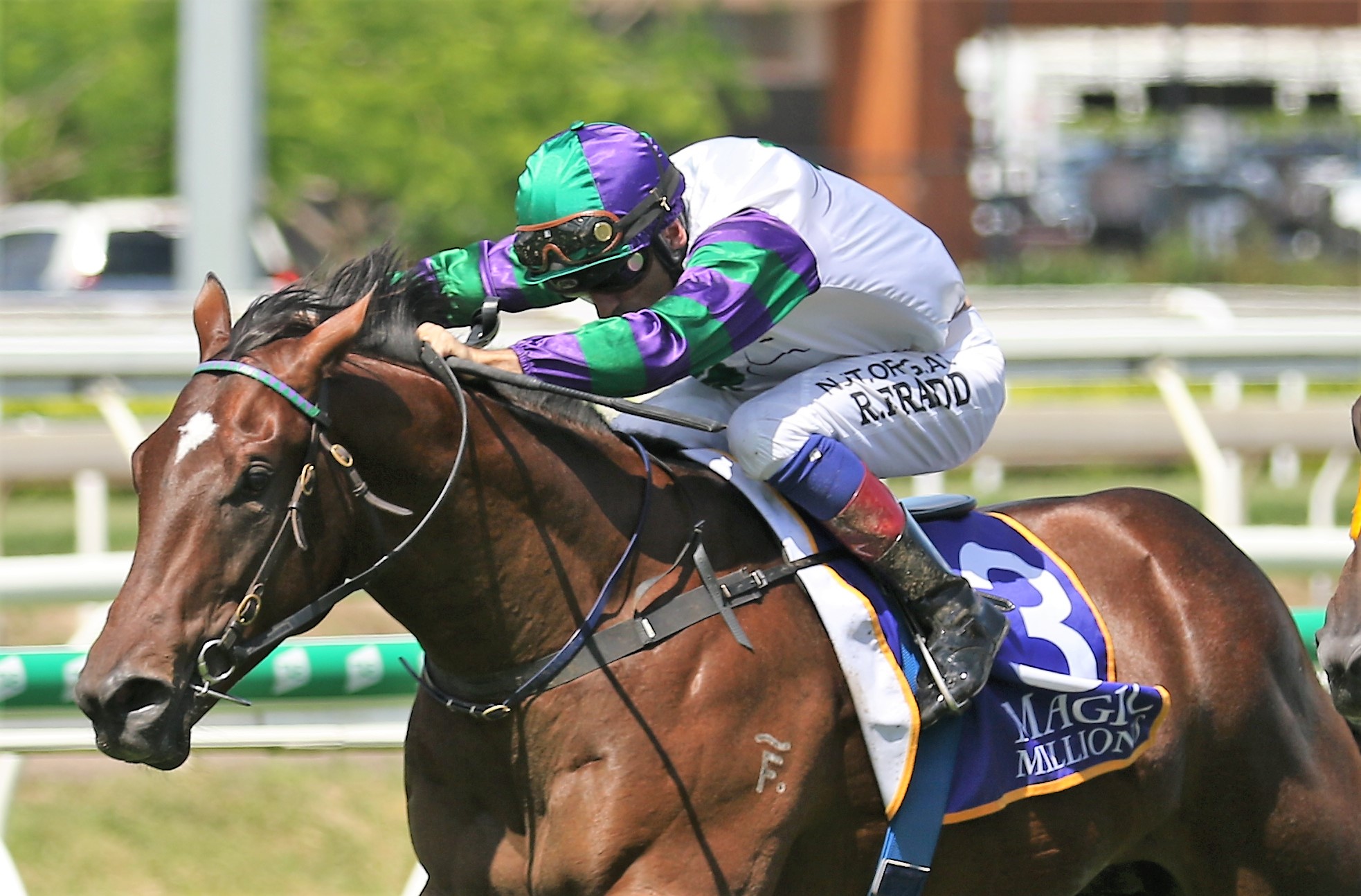 Crucial trackwork hitout for Edmonds duo | RacingFans.com.au