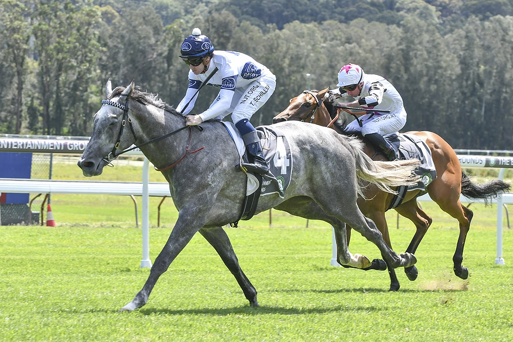 Harmony Rose after the G1 Empire Rose Stakes at Flemington | RacingFans ...