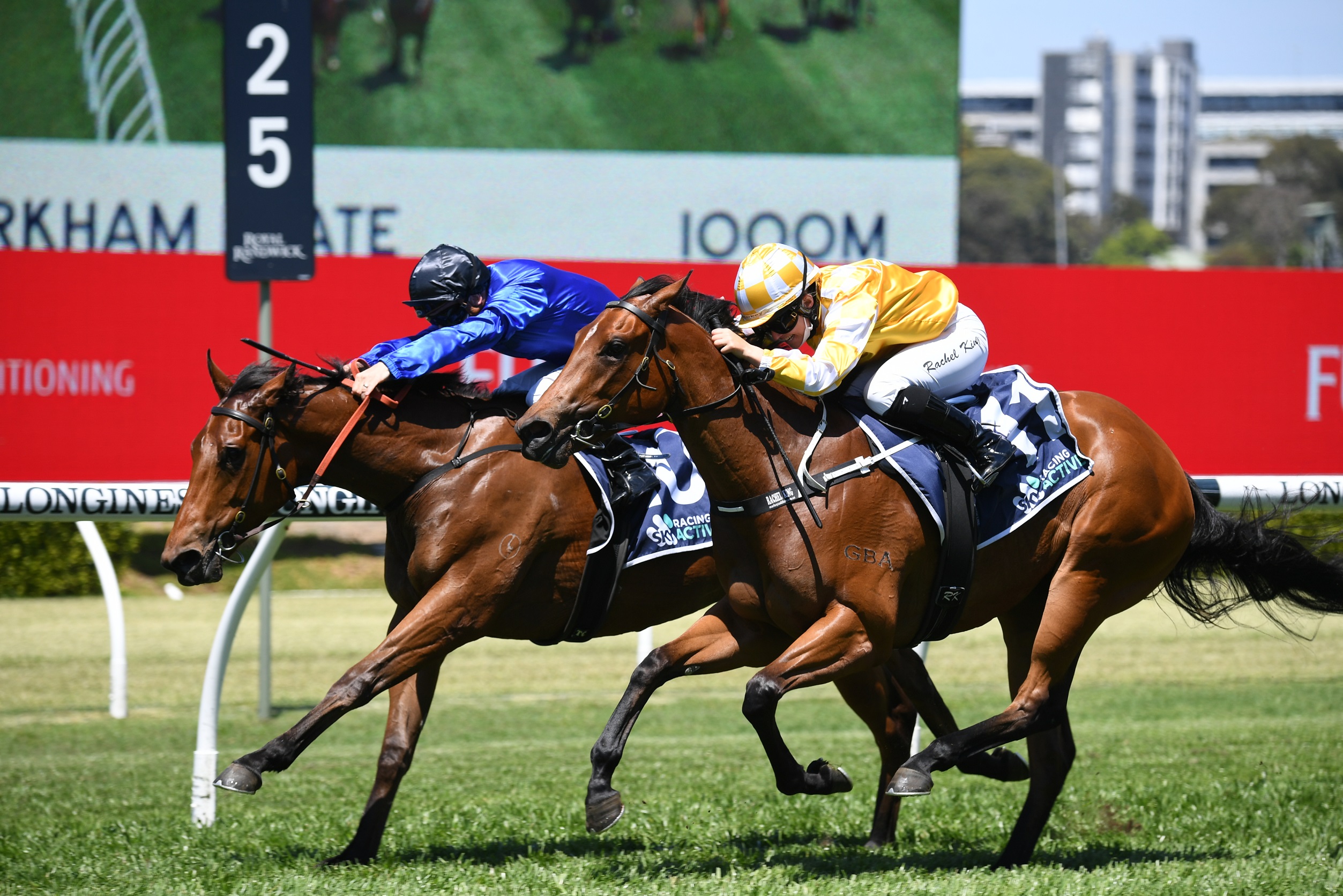 Babies star all round for Godolphin | RacingFans.com.au