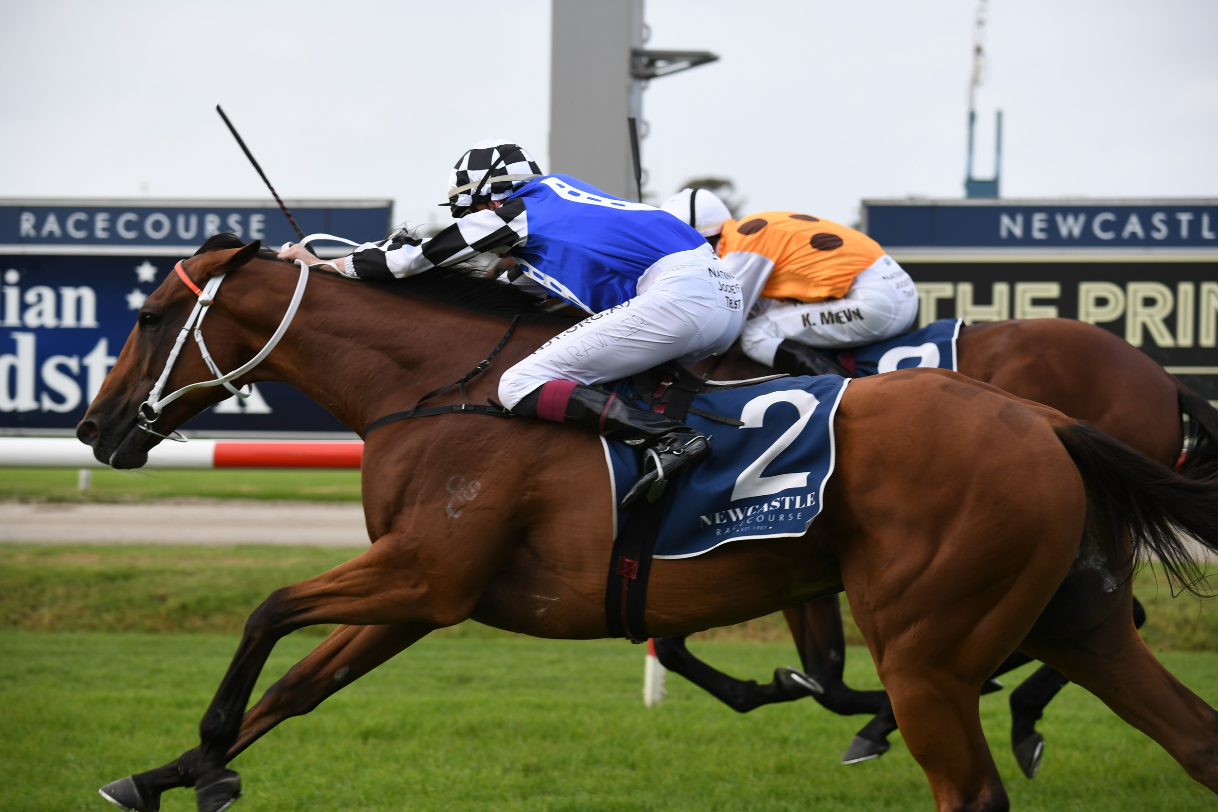 Kris Lees looking for Gem Song to lift in Festival Stakes | RacingFans ...