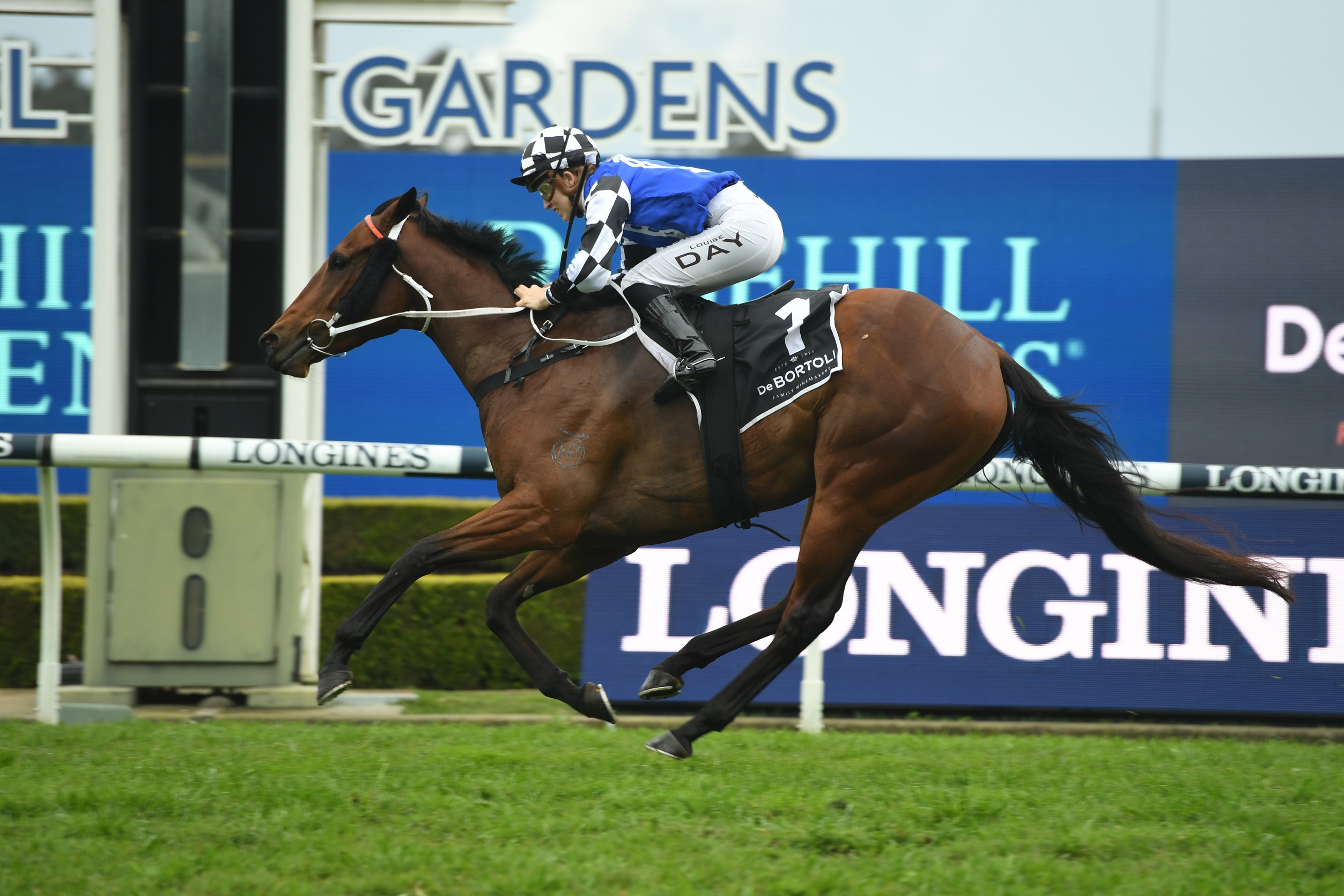 Syndicator hoping it's third time lucky in The Hunter | RacingFans.com.au