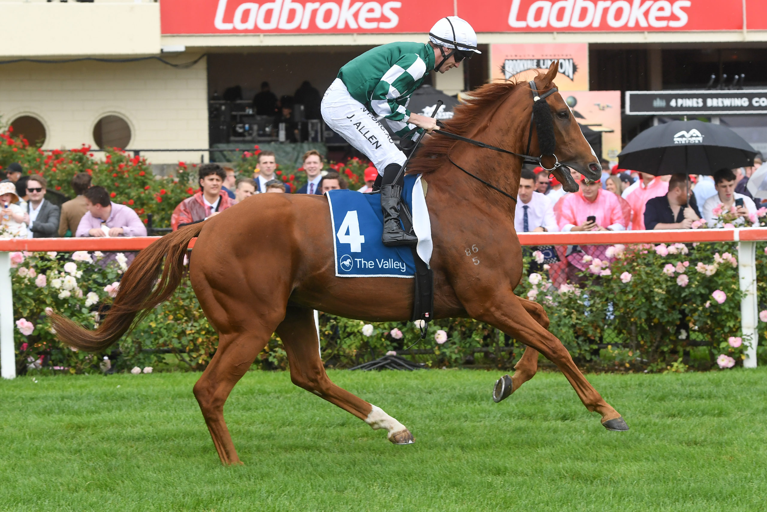 Blenheim Palace to be suited by Flemington track | RacingFans.com.au