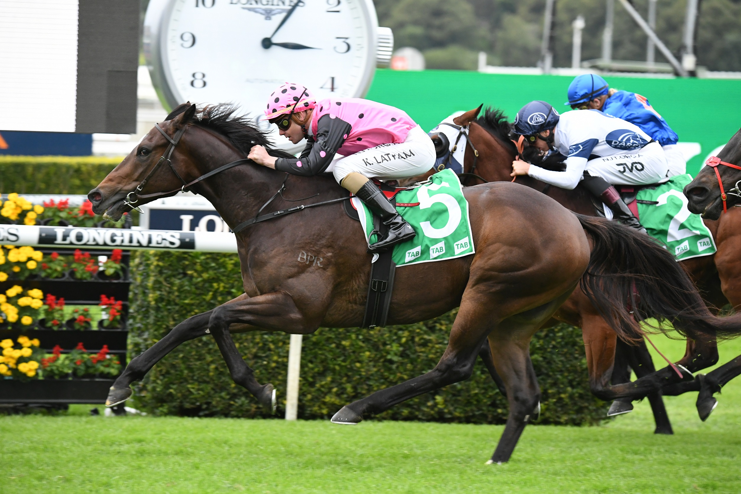 Dream Circle on track for Maroubra Mile | RacingFans.com.au