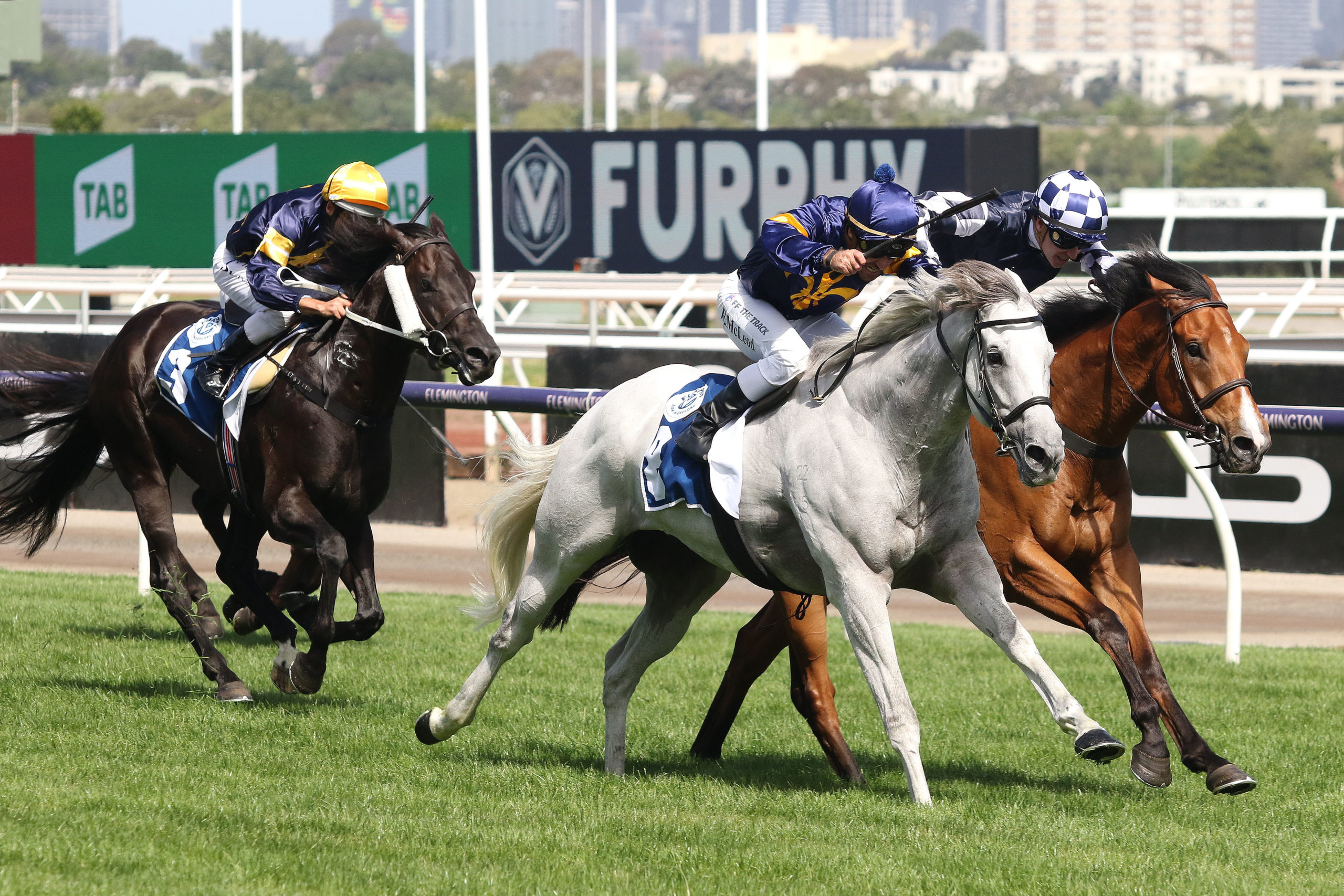 Not To Be Mist set to contest Chester Manifold Stakes | RacingFans.com.au