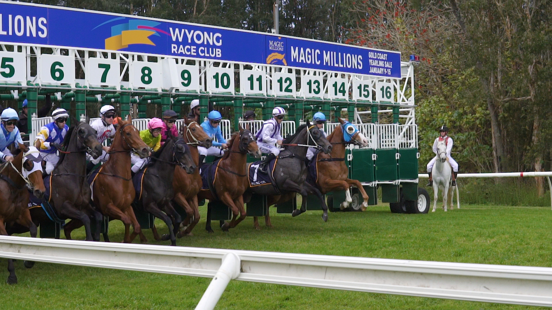 Wyong Magic Millions Day at Wyong Horse Racing Tips, Best Bets and Race ...