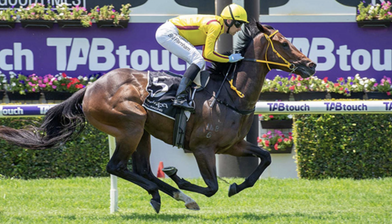 Neville Parnham weighs up options for Indian Pacific | RacingFans.com.au