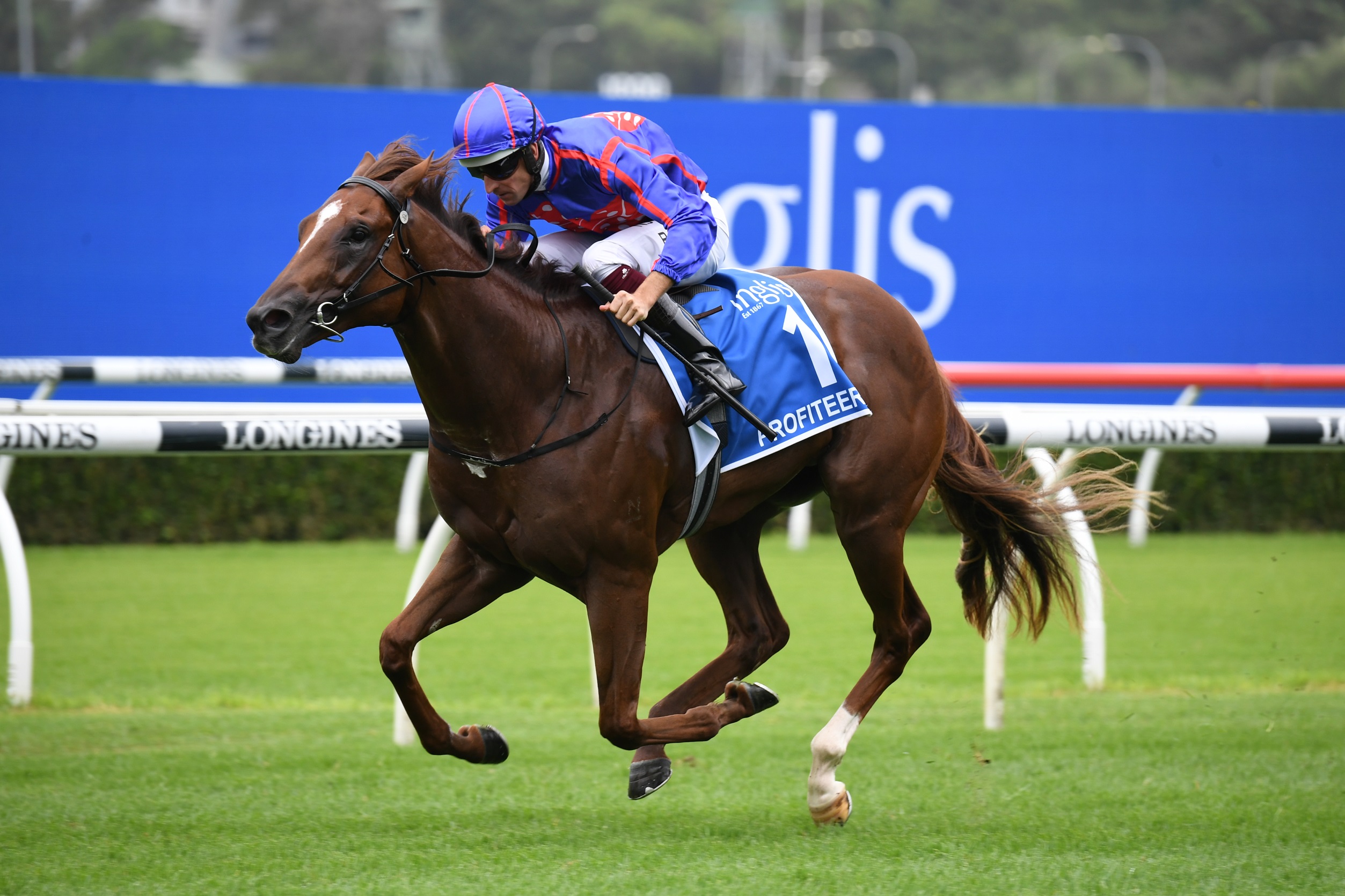 Inglis Pink Bonus Series to provide $1.5 million in bonuses ...