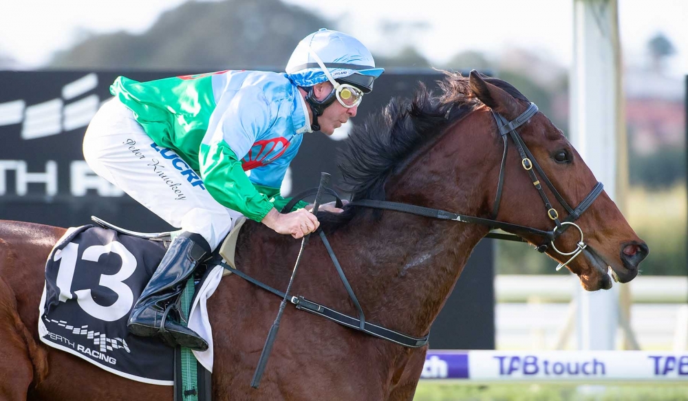 WA jockey Peter Knuckey plans overseas move | RacingFans.com.au