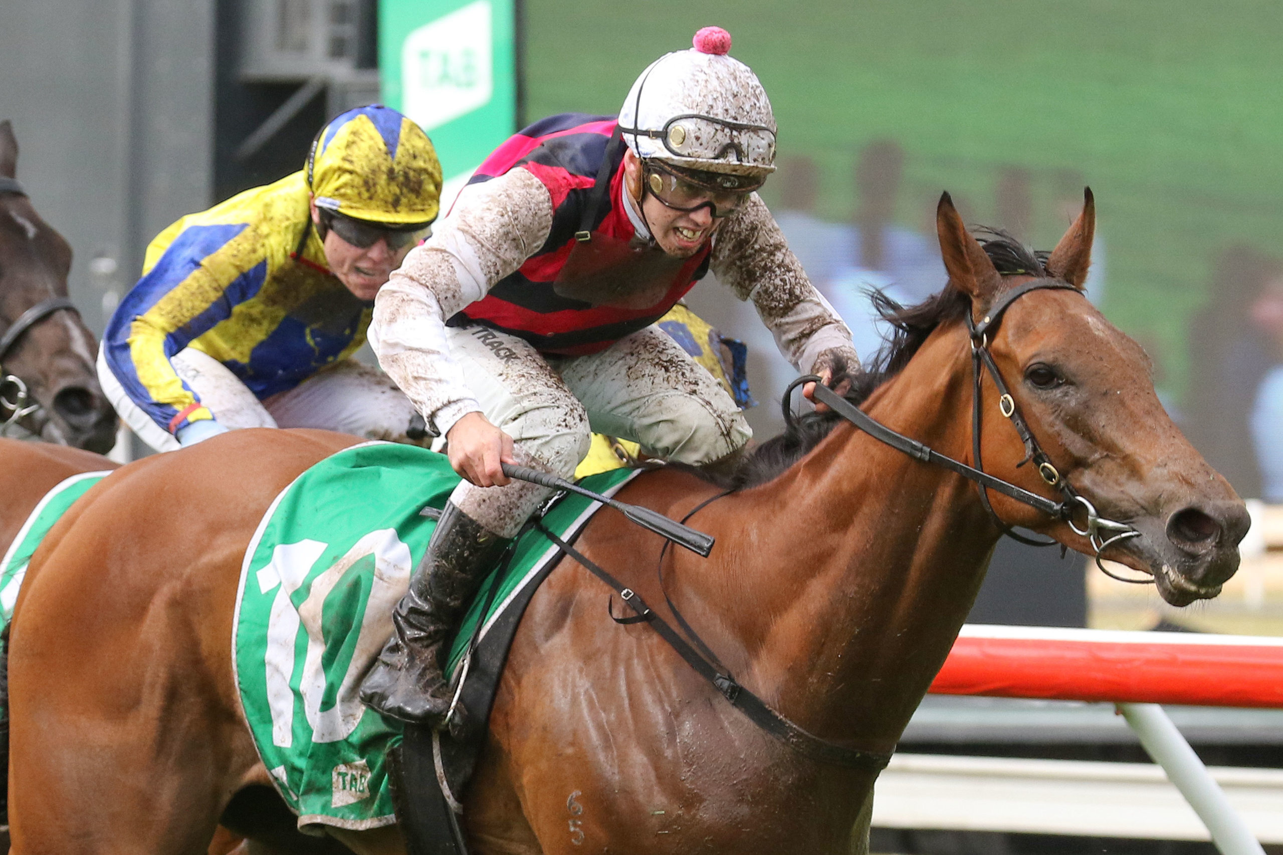 Robbie Griffiths weighs up Caulfield G2's for King Magnus | RacingFans ...