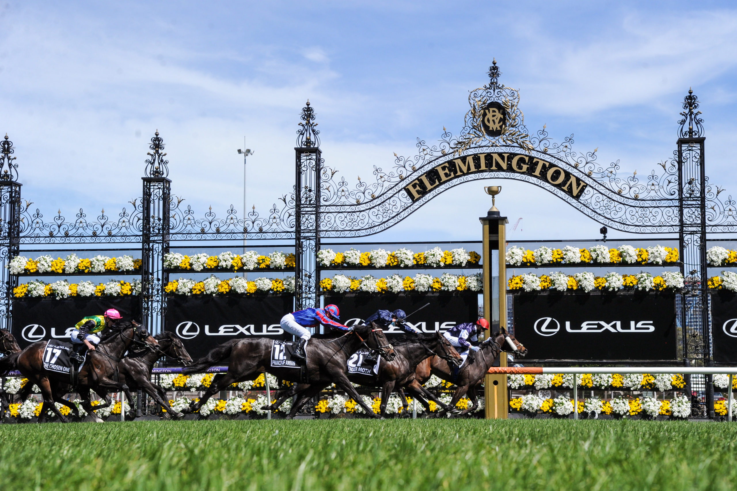 Racing Victoria endorses CT scans for Melbourne Cup horses | RacingFans ...