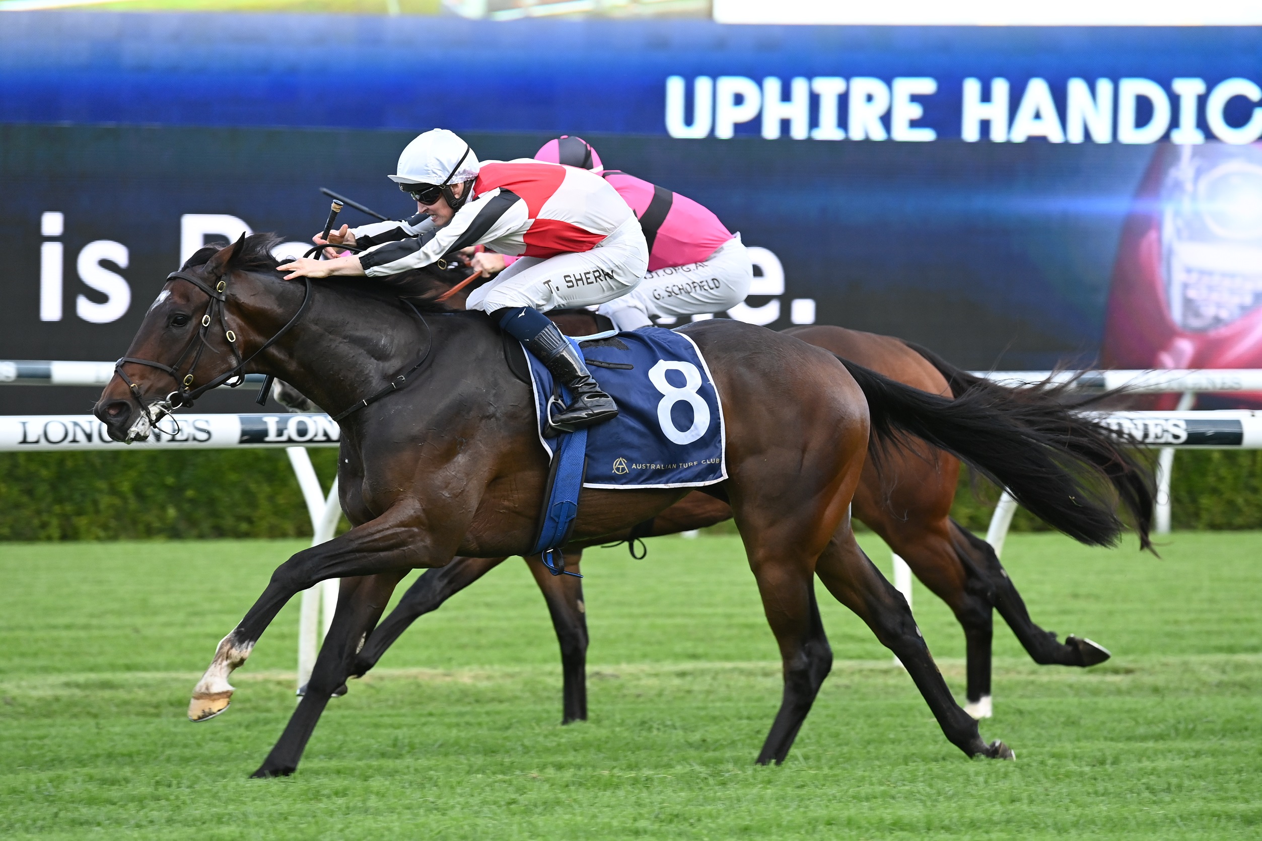 Tom Sherry kicks off senior riding career in style | RacingFans.com.au