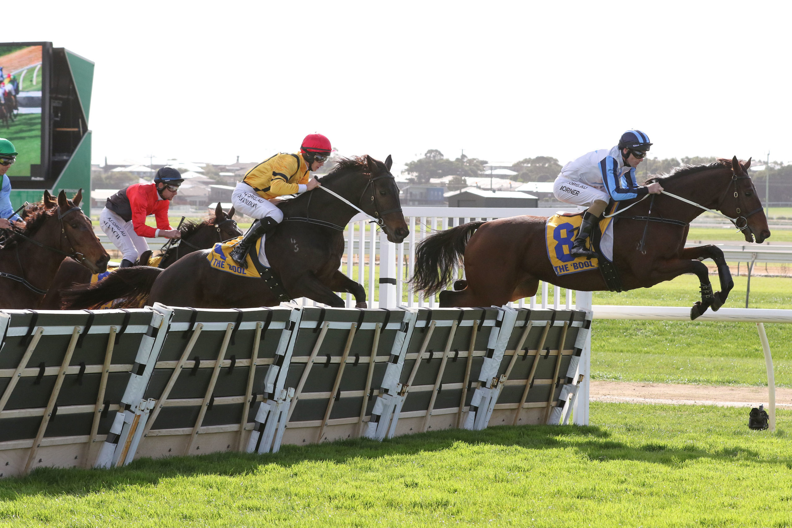 Andrew Noblet Dreaming of success in the Australian Hurdle | RacingFans ...