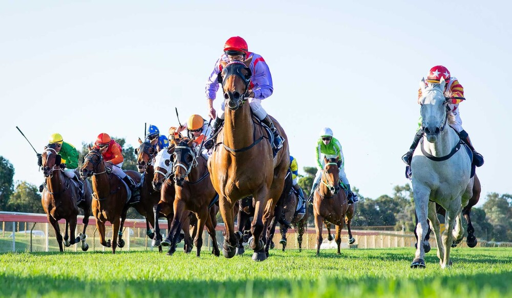 Prince Turbo primed to charge in Eurythmic Stakes | RacingFans.com.au