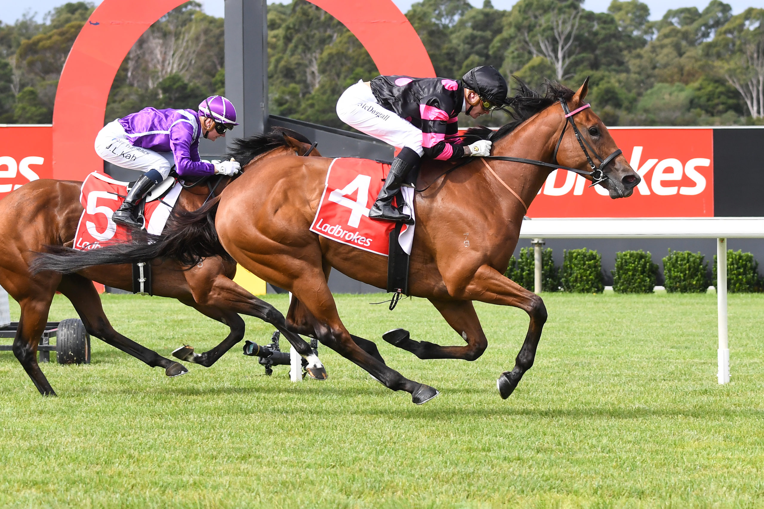 Nick Ryan hoping Belle Savoir can deliver first Group 1 | RacingFans.com.au