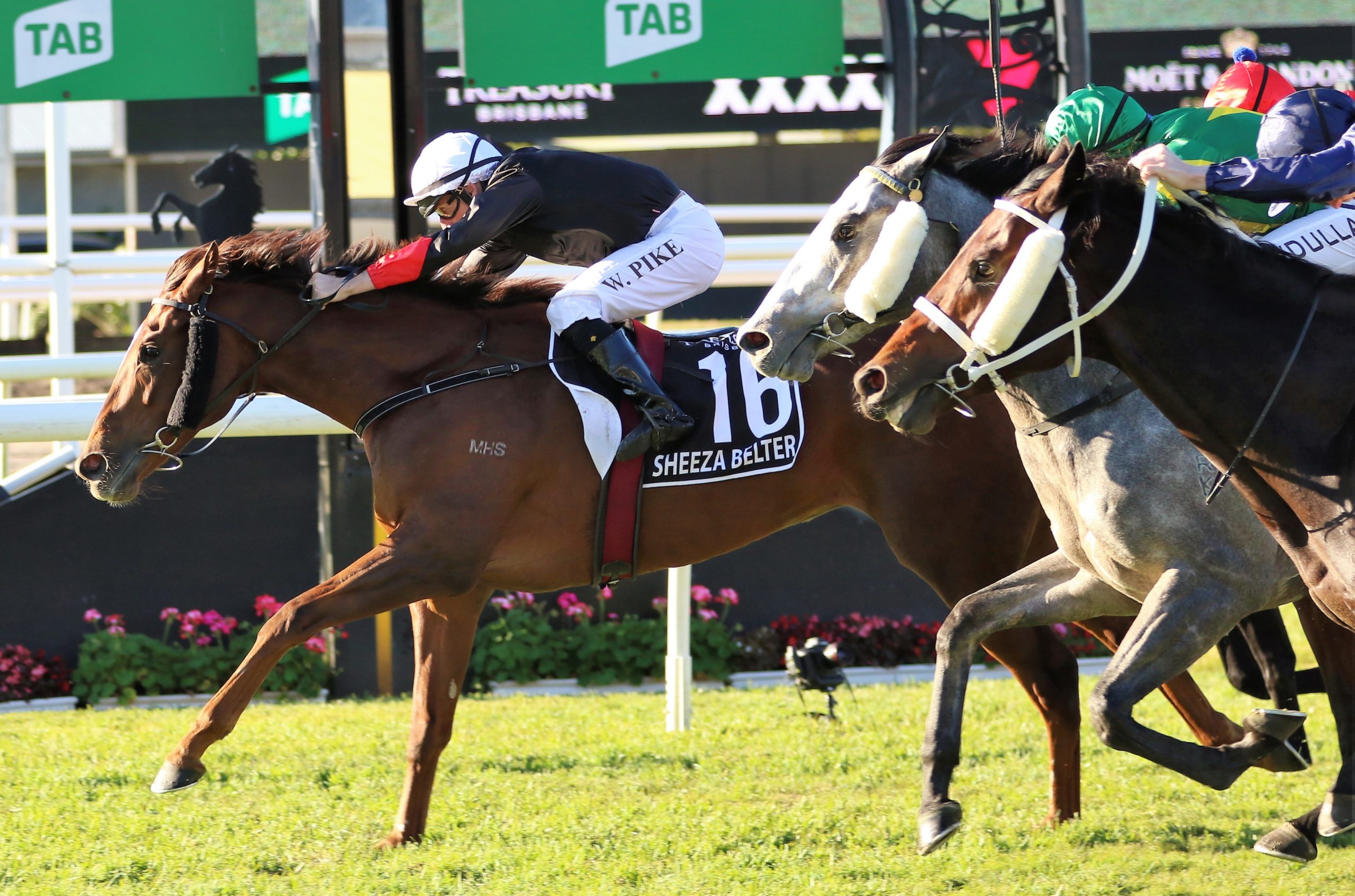 William Pike steers Sheeza Belter to JJ Atkins Stakes win | RacingFans ...