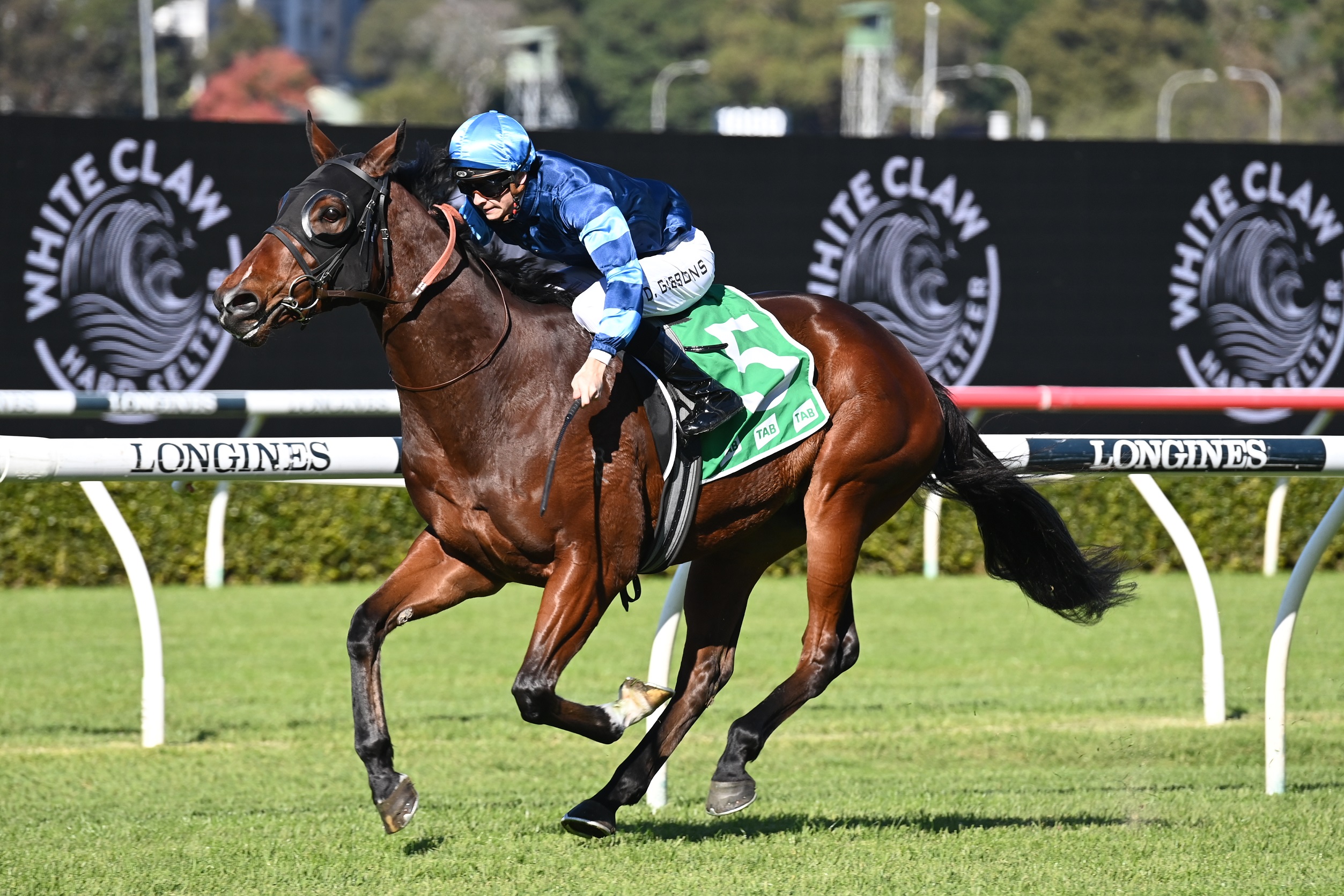 Dylan Gibbons talent on display at Randwick | RacingFans.com.au