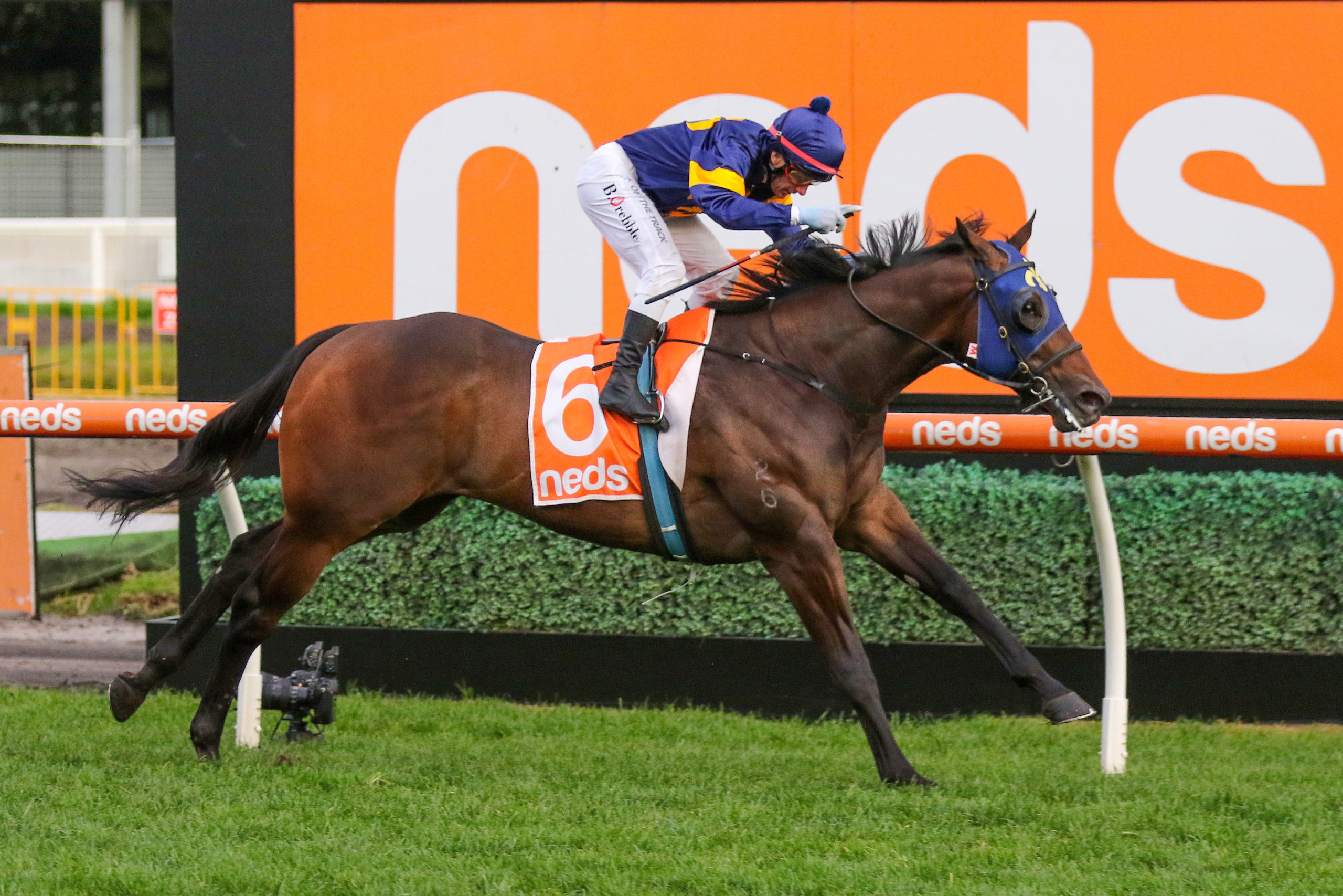 Edison set to tackle Mildura Cup | RacingFans.com.au