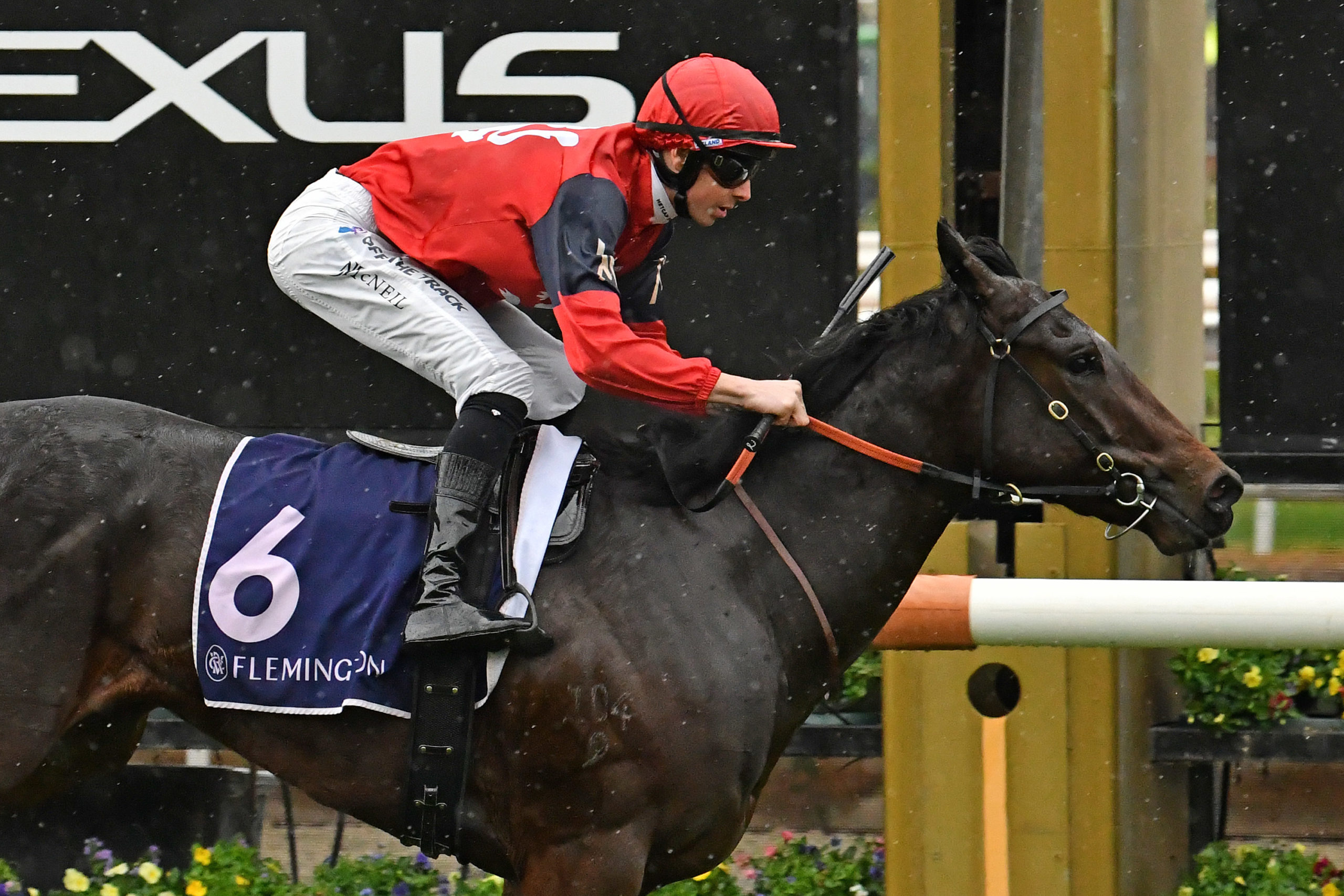 Coolmore Stud Stakes favourite set for straight-track spring ...