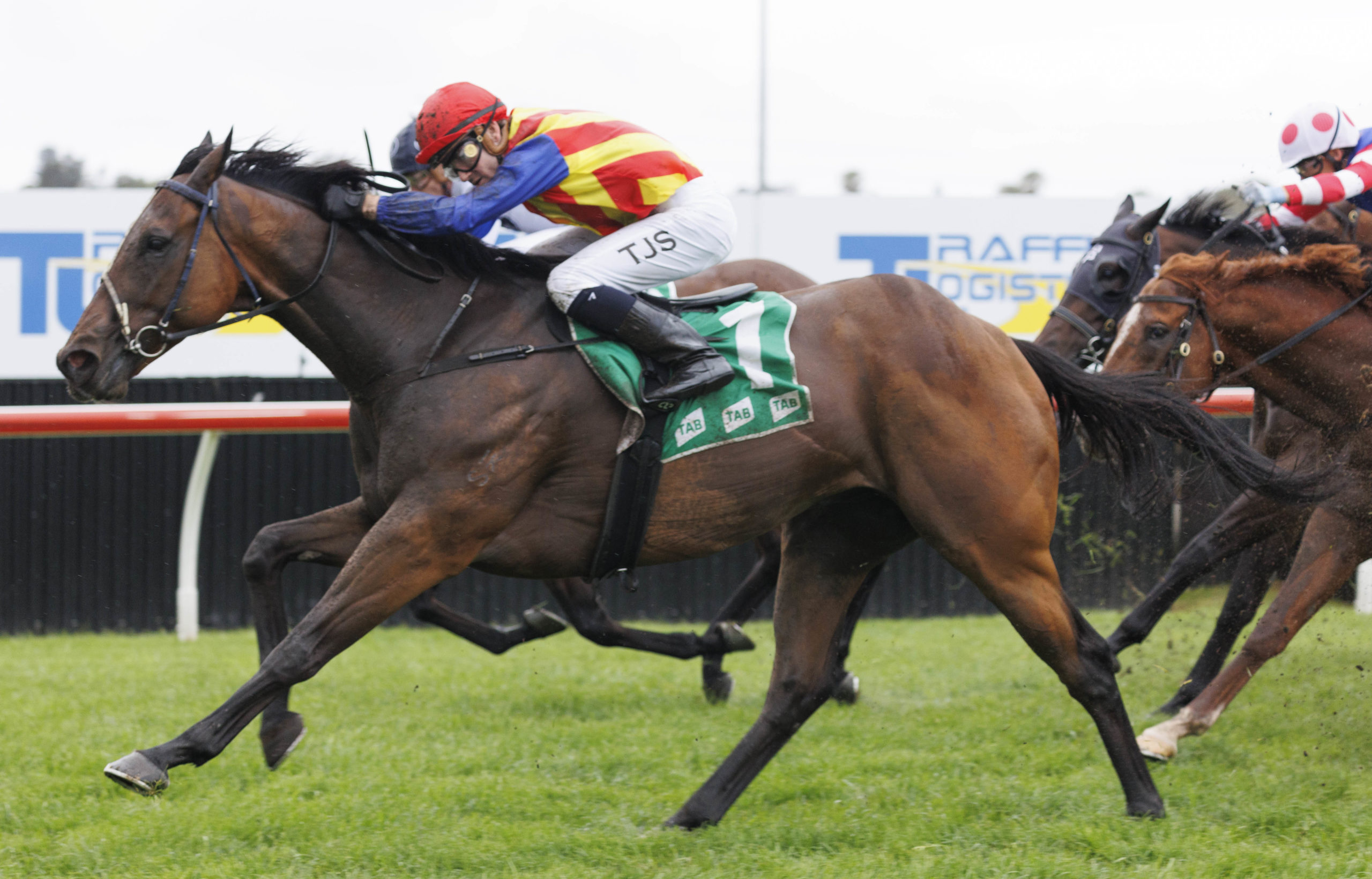 The Hunter awaits for Eleven Eleven | RacingFans.com.au