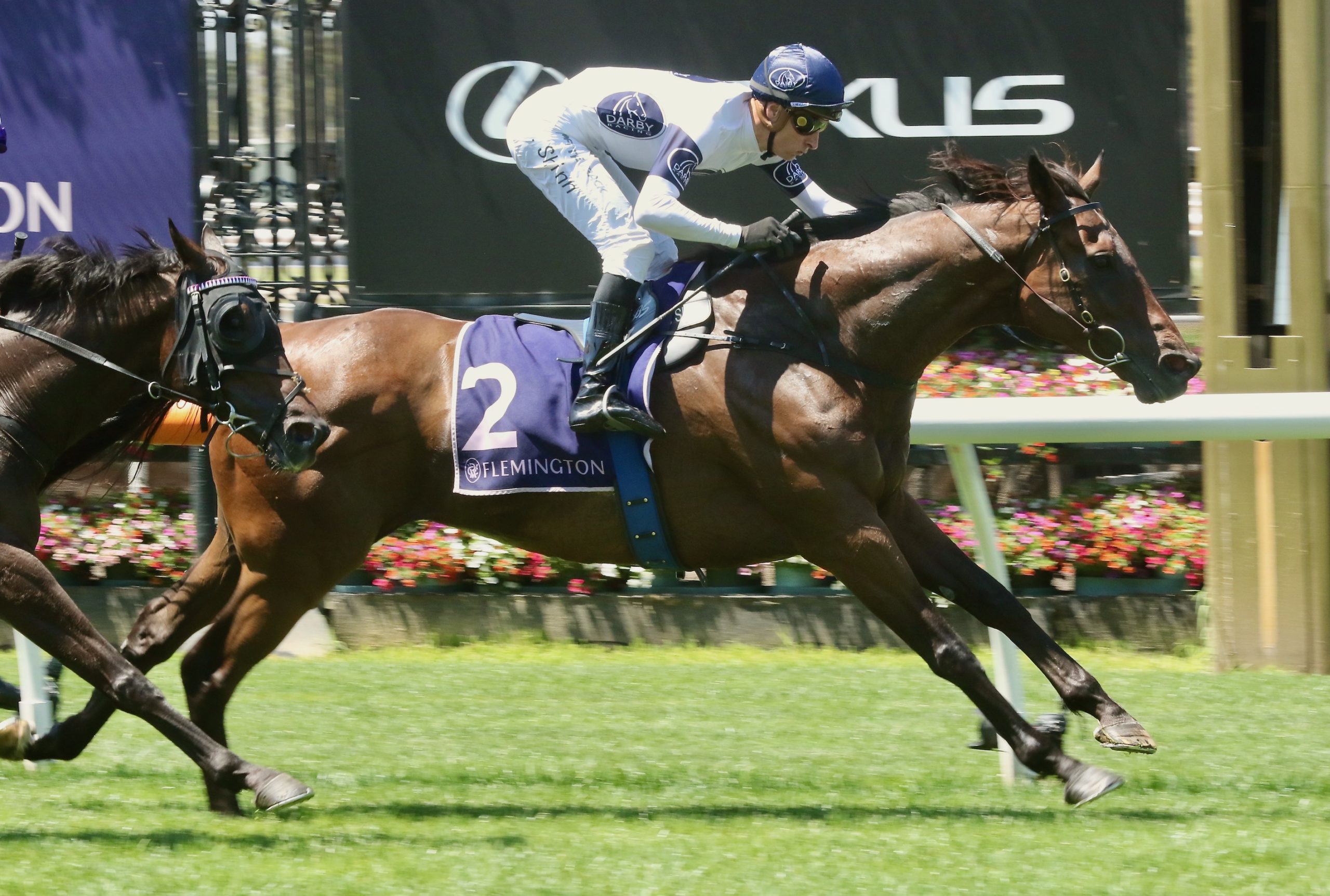 Blake Shinn back in the winning Spirit | RacingFans.com.au