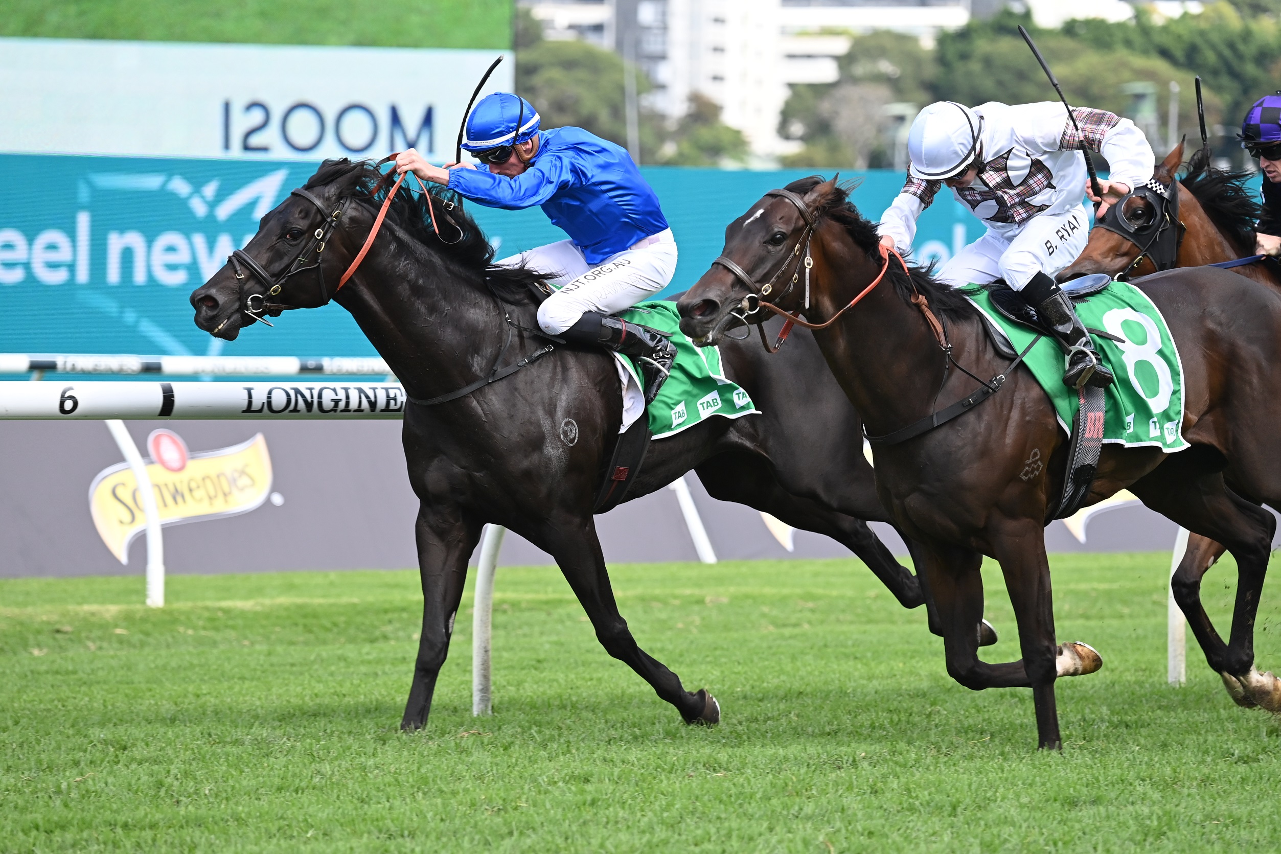Godolphin confident Kementari can cause upset in The Quokka ...