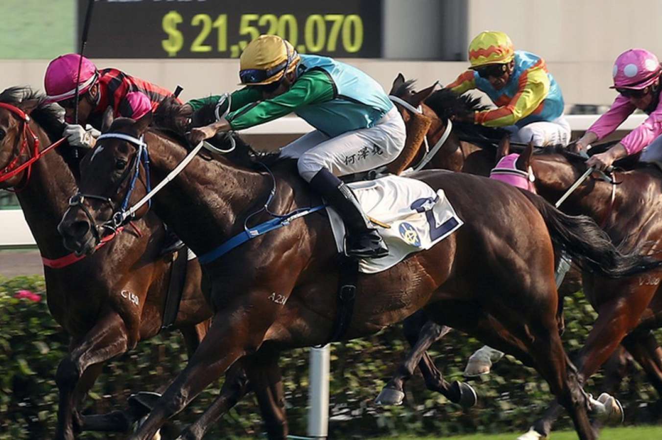 Sunshine Rising on track for JRA Plate | RacingFans.com.au