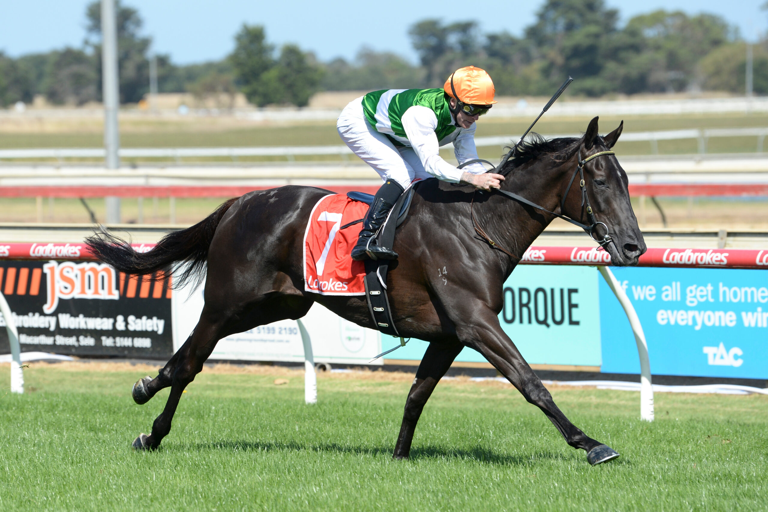 Maher-Eustace eye more Adelaide G1 glory | RacingFans.com.au