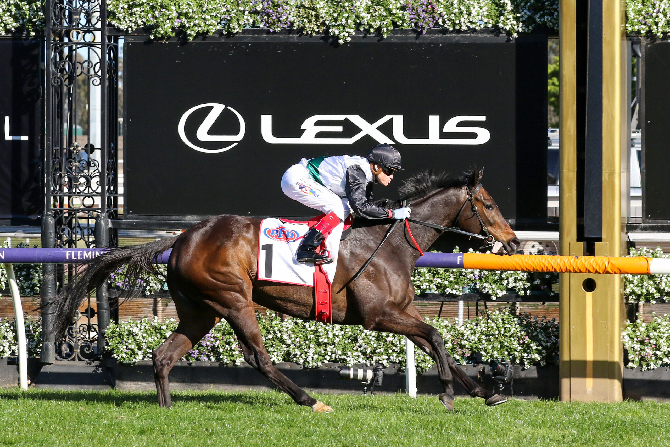 Mr Brightside's All-Star Mile Autumn | RacingFans.com.au