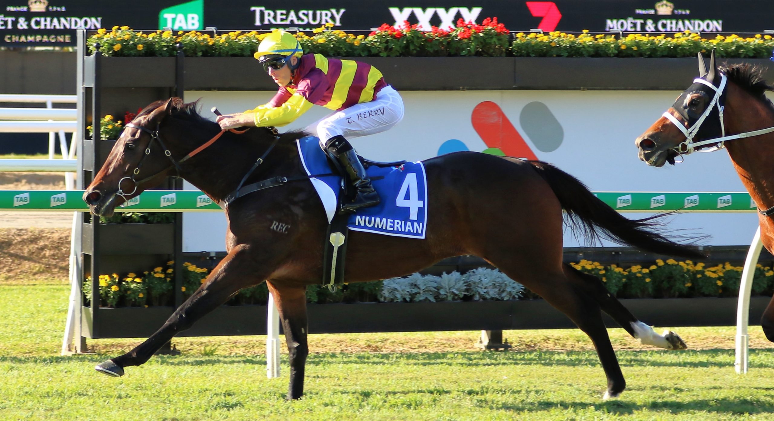 Numerian boosts Perth Cup 2024 hopes for trainer Annabel Neasham | RacingFans.com.au