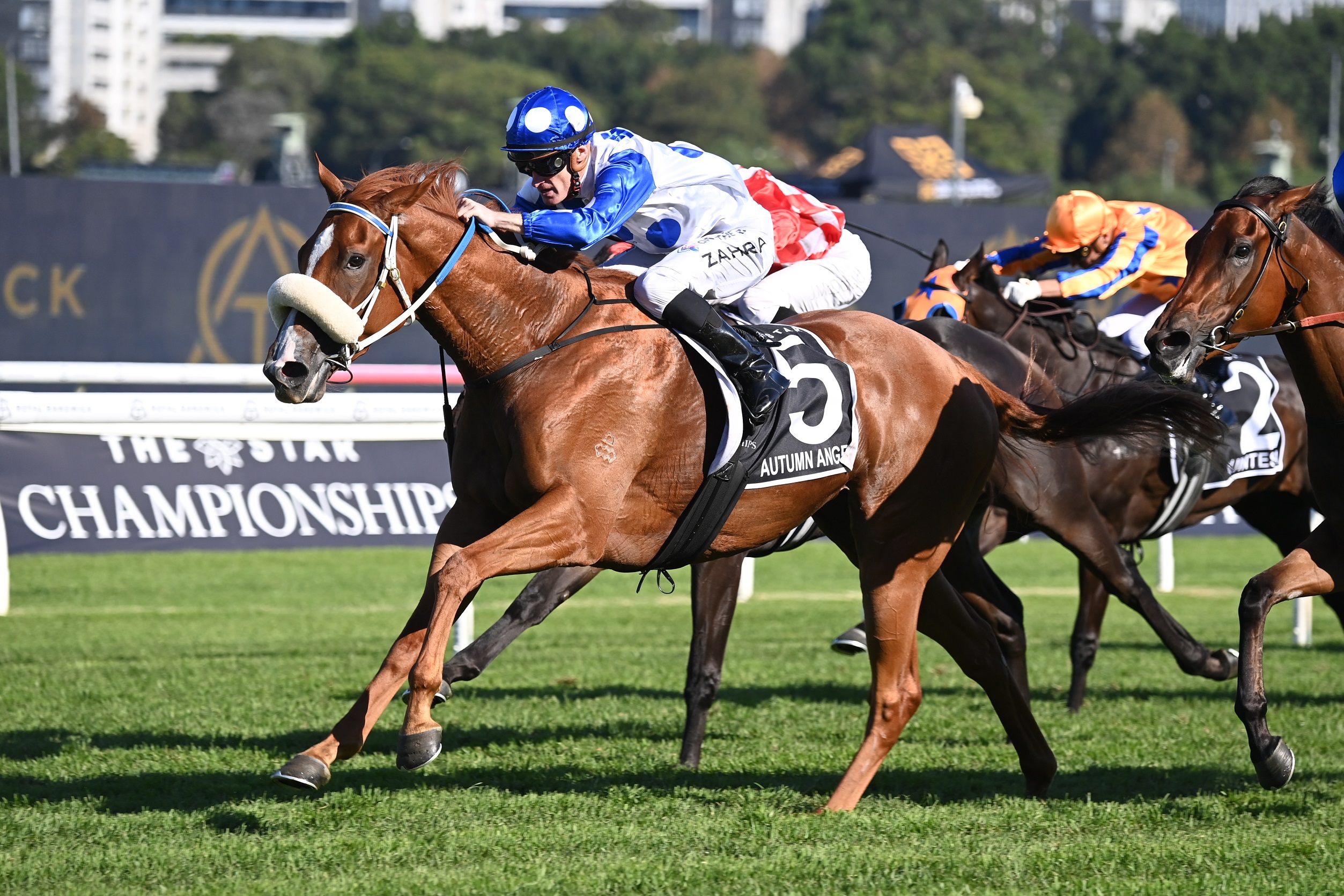 Autumn Angel outguns star fillies to triumph in G1 Australian Oaks ...