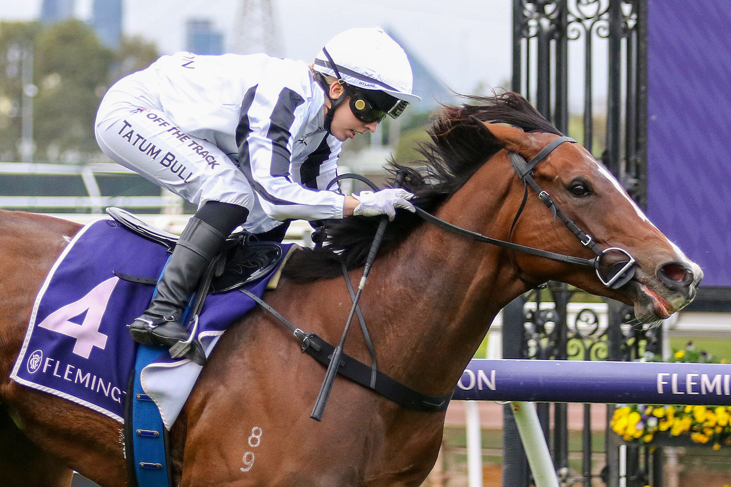 Queensland trip on the cards for talented Fancify | RacingFans.com.au