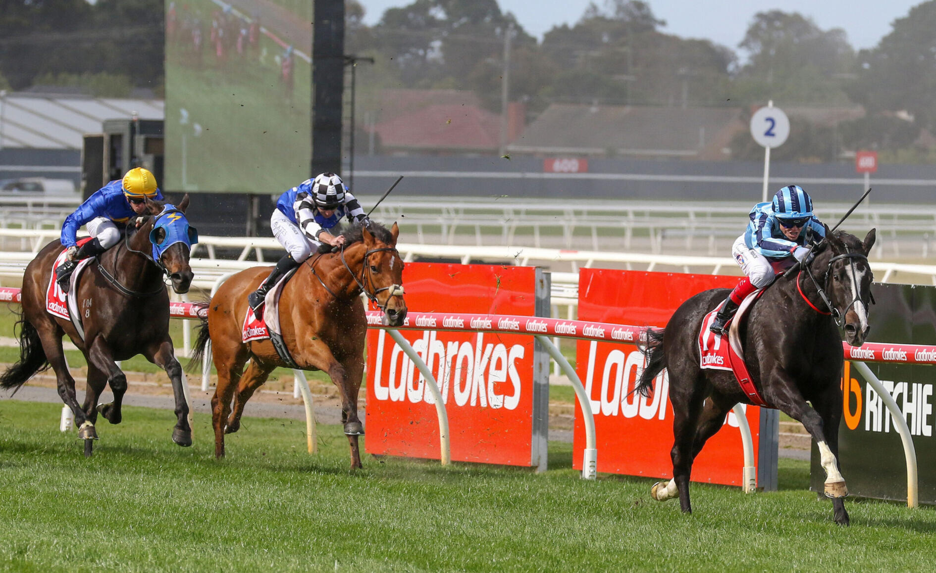 Onesmoothoperator cops 2024 Melbourne Cup weight penalty | RacingFans ...