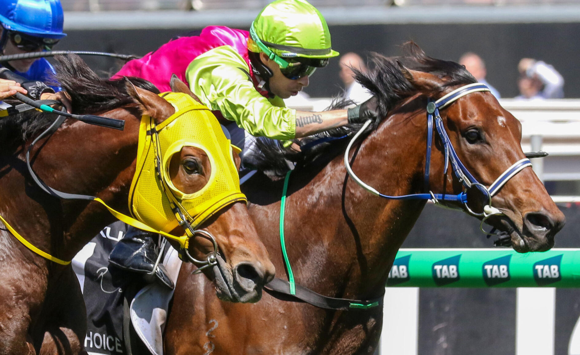 Knight's Choice springs a Melbourne Cup 2024 surprise | RacingFans.com.au