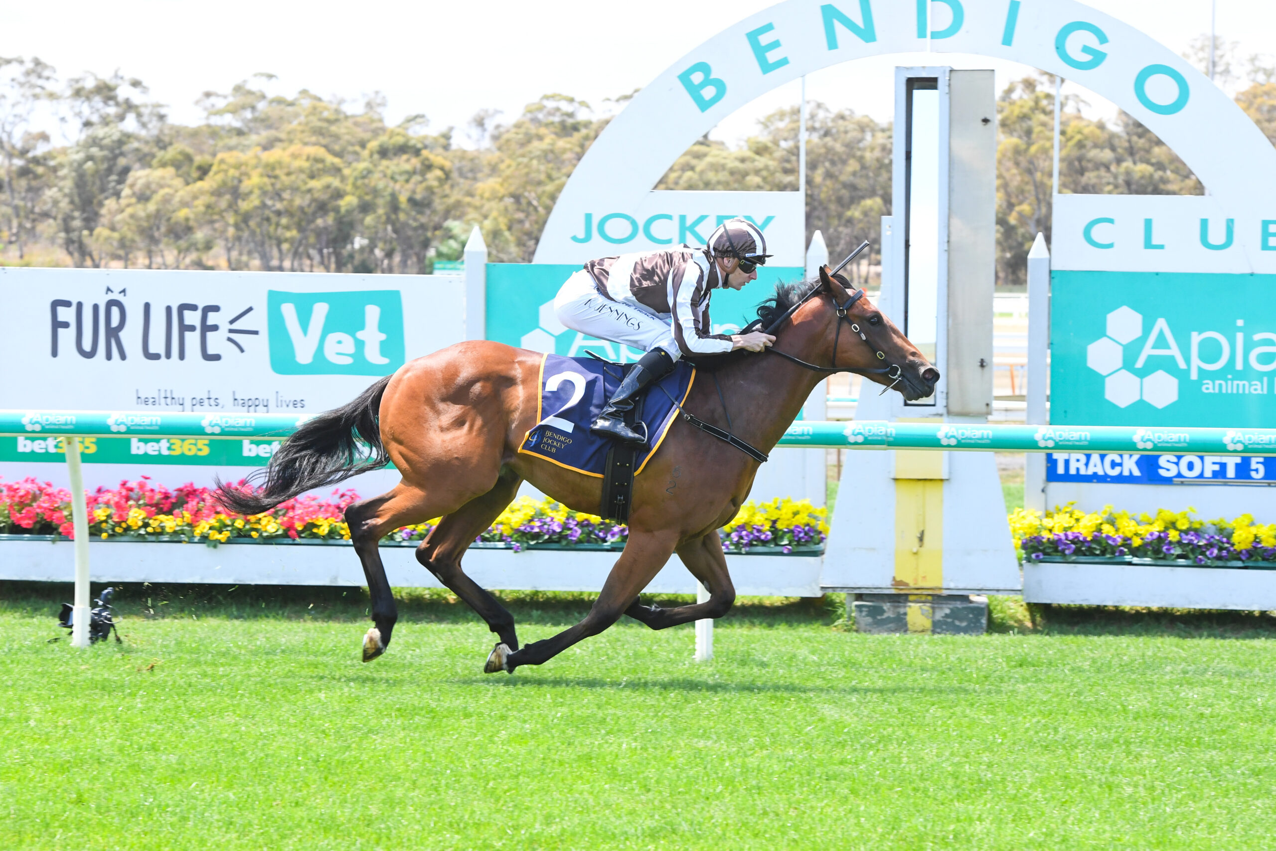 Hello Romeo becomes Youmzain's first | RacingFans.com.au