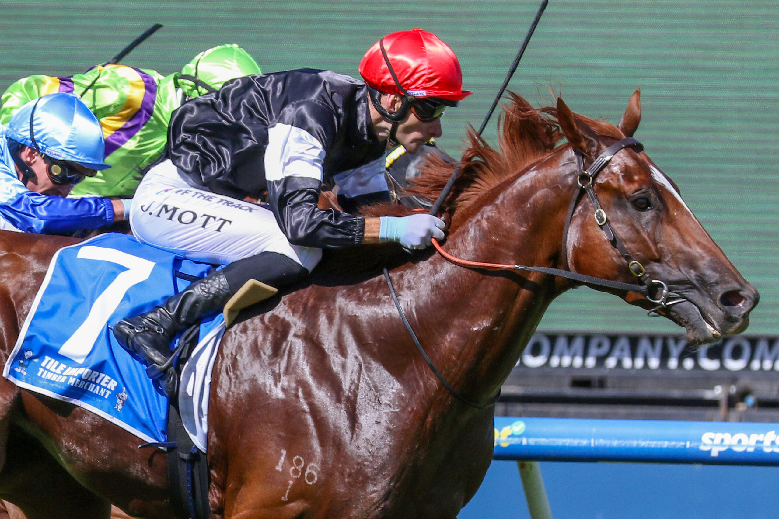 Royal Insignia does family proud in Manfred Stakes | RacingFans.com.au