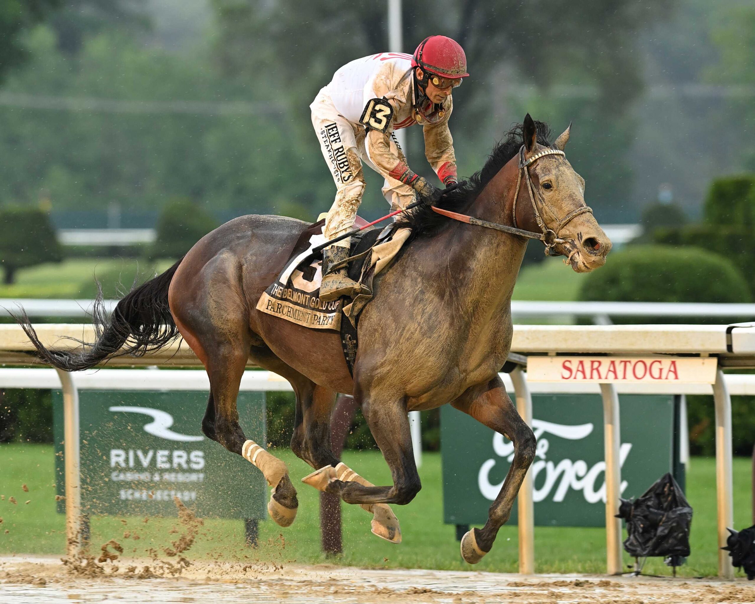 Parchment Party bound for 2025 Melbourne Cup | RacingFans.com.au