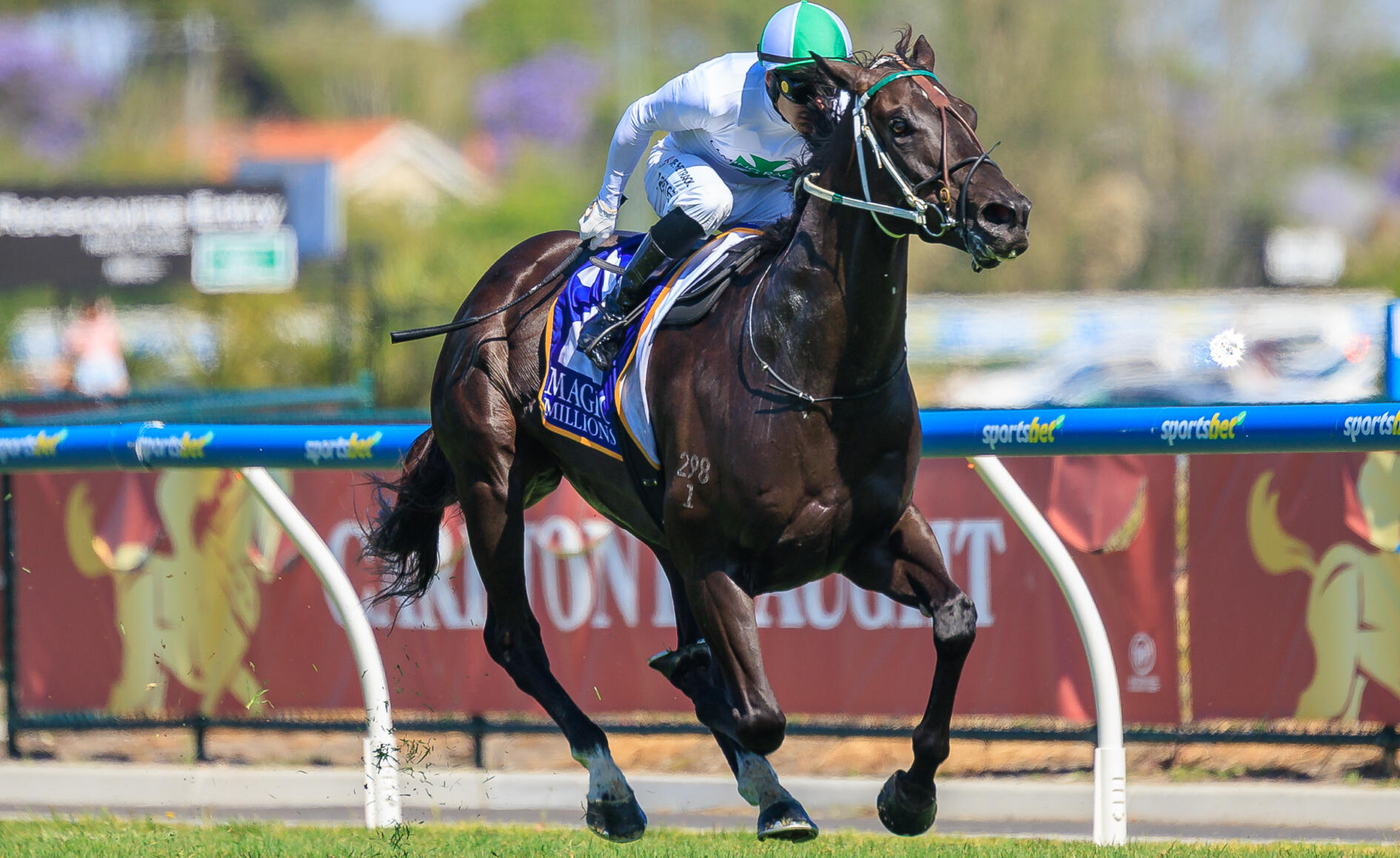 Magic Millions Carnival trip on the cards for Gin A Tonic | RacingFans ...