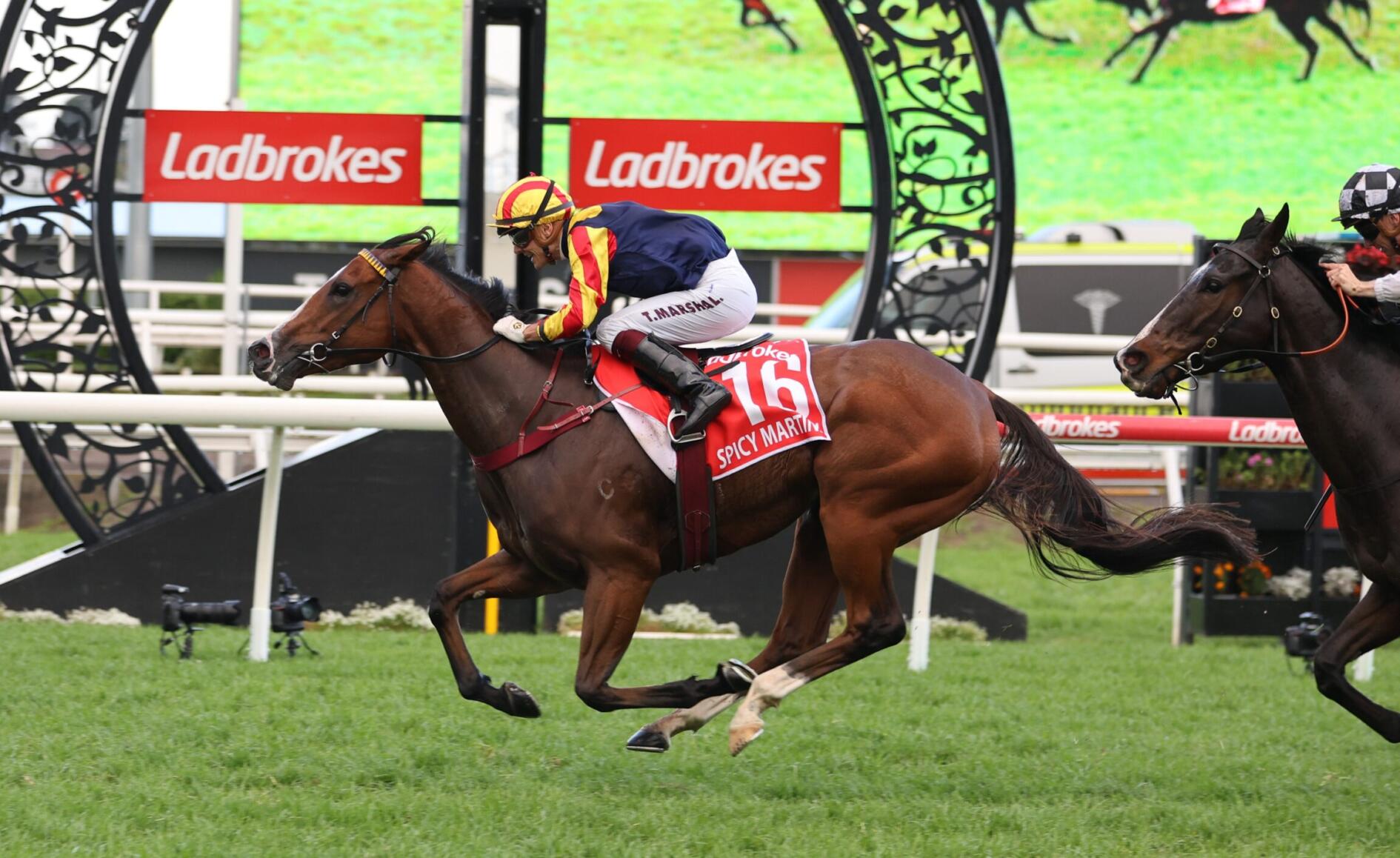 Spicy Martini delivers stunning upset in Stradbroke Handicap ...